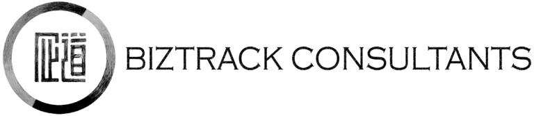 Services – Biztrack Consultants